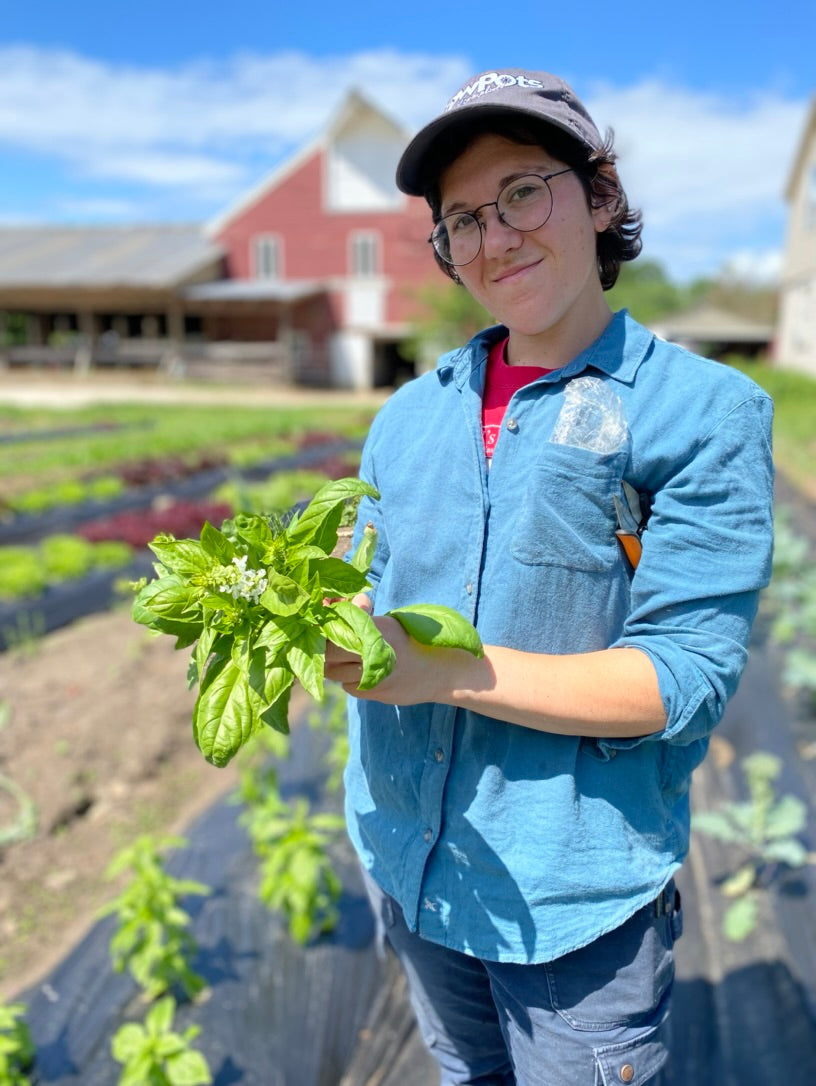 Freund's Farm Market & Bakery Online Store