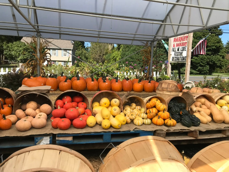 Freund's Farm Market & Bakery Online Store