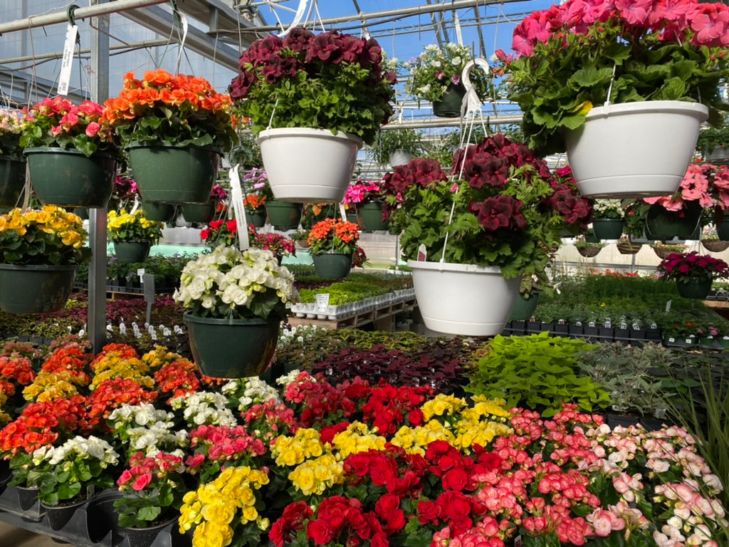 Freund's Farm Market & Bakery Online Store
