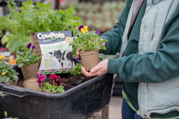 Shop – Freund's Farm Market & Bakery